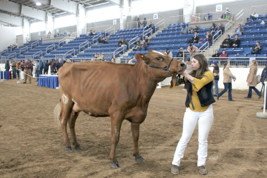 110th Pa. Farm Show to kick off | News, Sports, Jobs - Altoona Mirror